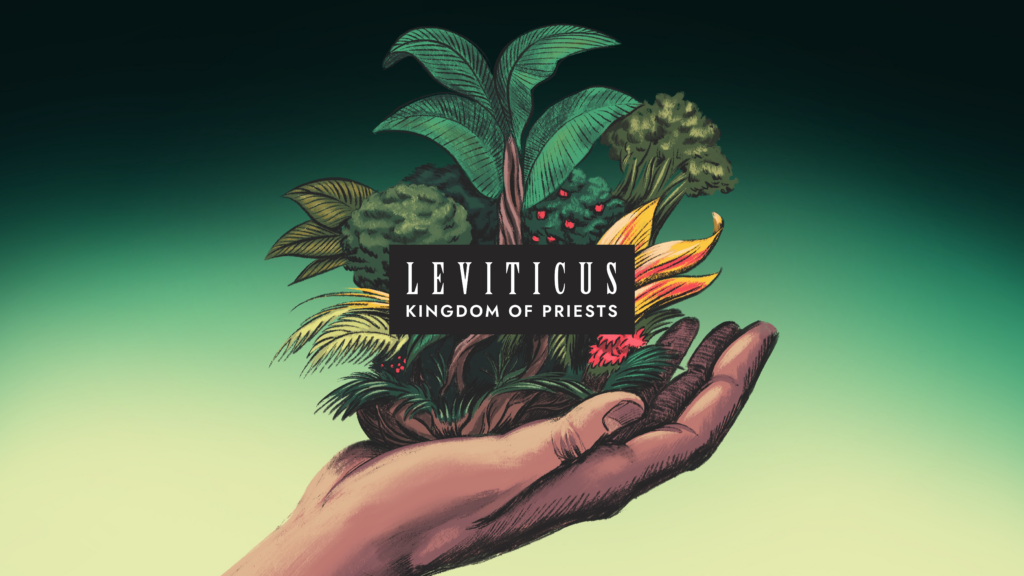 Leviticus: Kingdom of Priests | Overview - Main Street Church, St ...